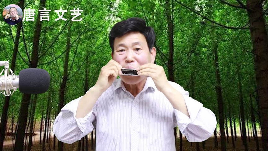 口琴演奏:《小白杨》母亲送边防哨所儿子白杨树苗而创作的歌曲