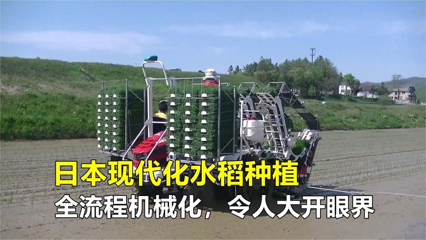 日本水稻种植模式,全流程机械化,让人羡慕,不愧为农业强国