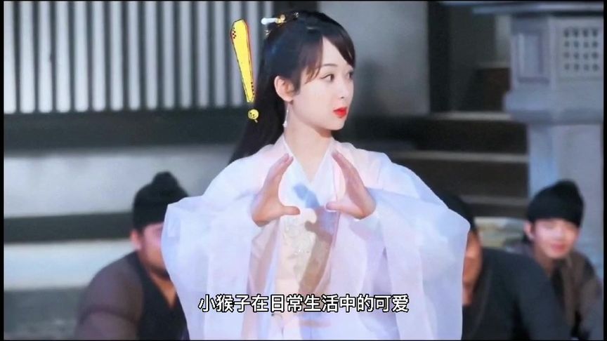 萌探探探案:杨紫解释恋情,称专心搞事业 #萌探探探案 #杨紫