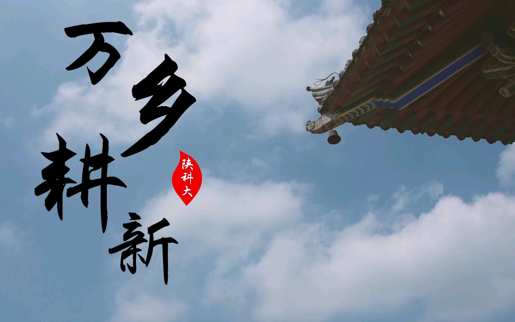 【公益宣传】陕西科技大学画个小镇/万乡耕新-暑假社会实践1分钟宣传...