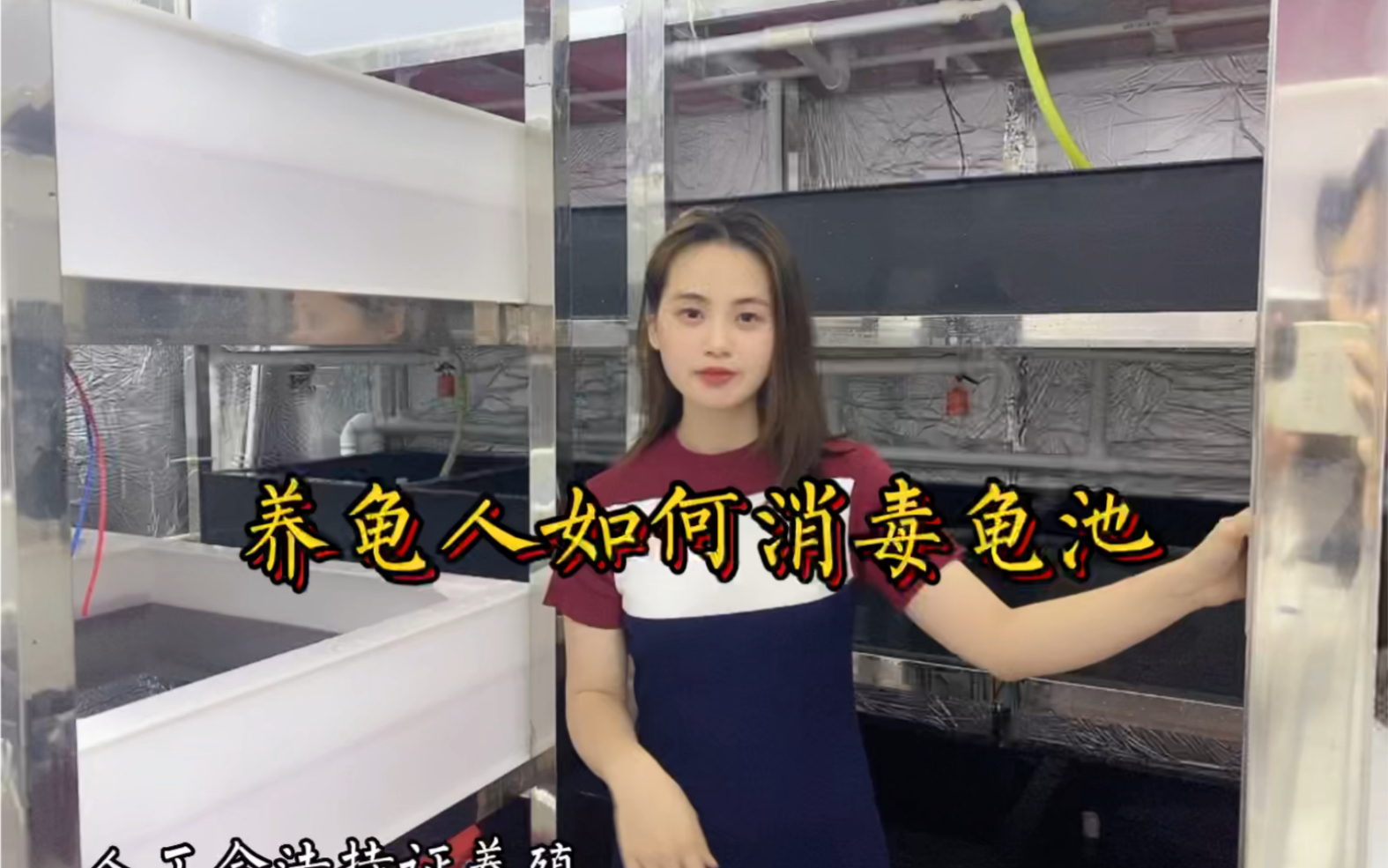 养龟的第一步首要工作,如何对龟池进行消毒,分享给养龟爱好者们～