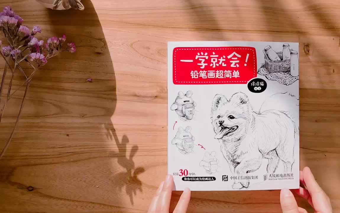 《一学就会铅笔画超简单》