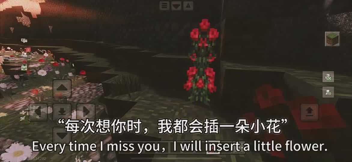 我的世界:属于你的花海
