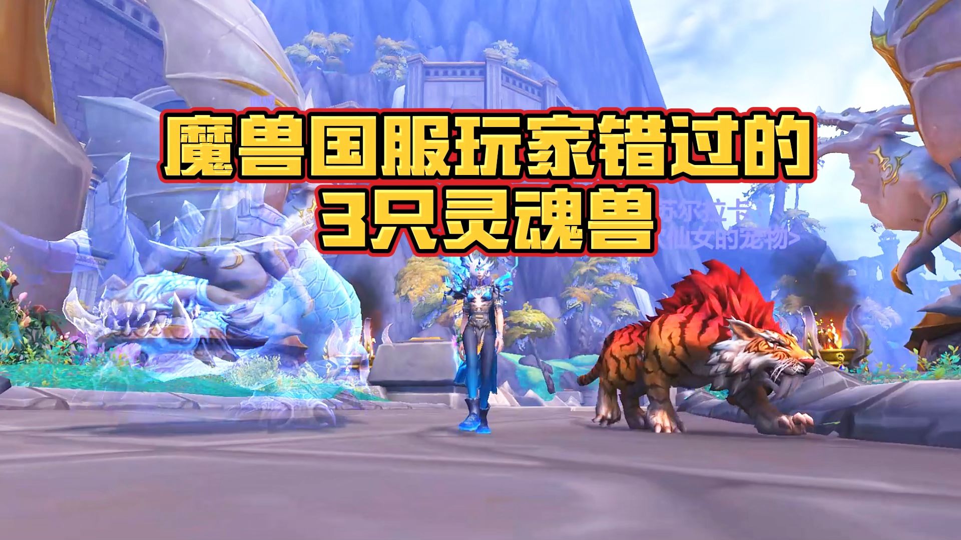 魔兽国服玩家错过的3只灵魂兽!怎么抓快学!厚甲龙!老虎!火焰猫头鹰!_...