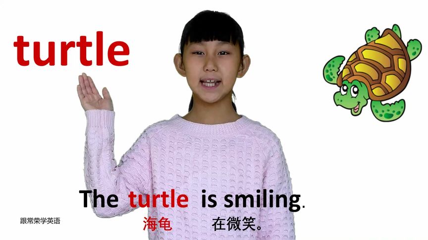 动物篇turtle海龟 牛津初高中小学少儿童英语单词和例句子 常荣