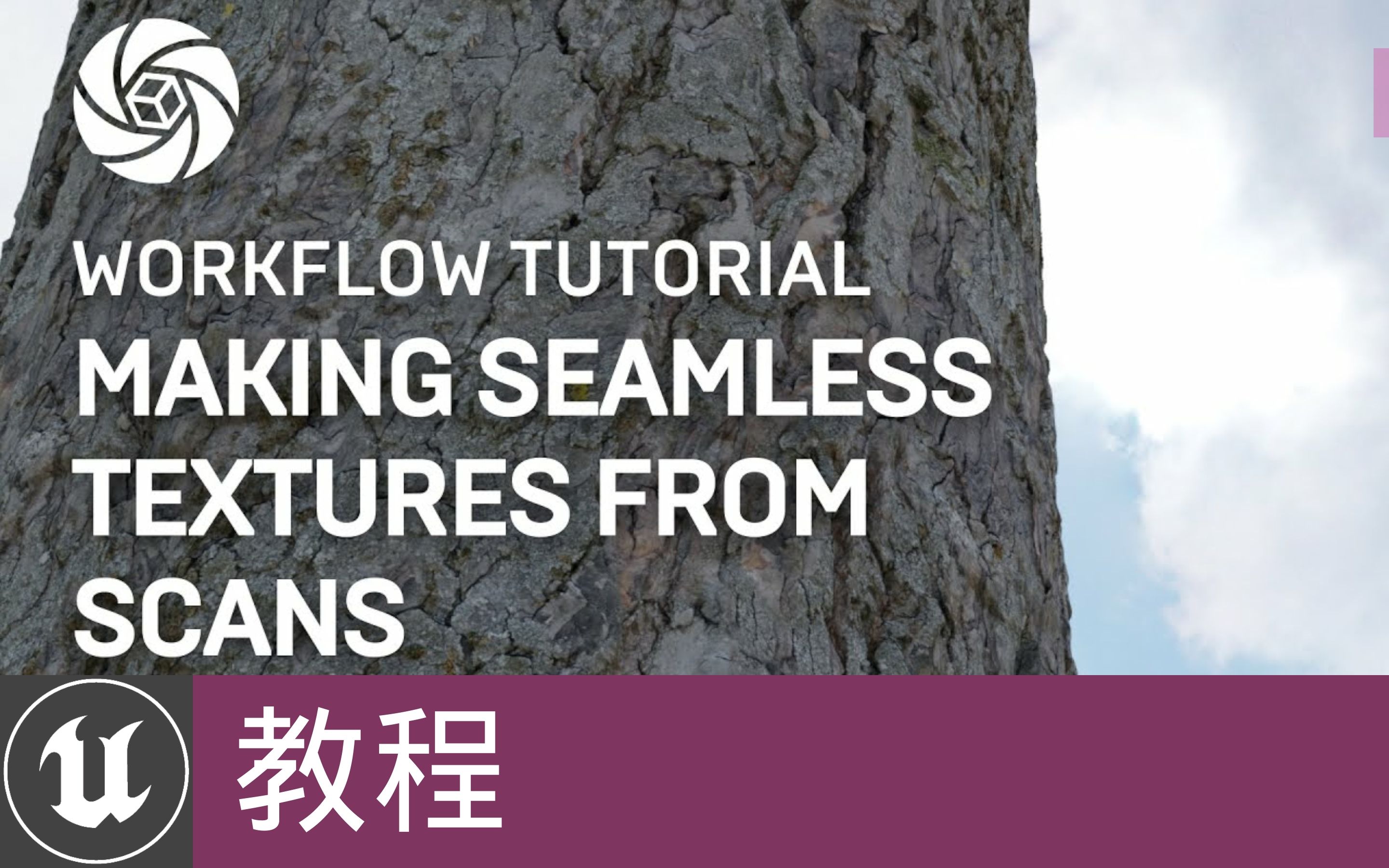 [教程]RealityCapture教程:用扫描制作无缝纹理(官方字幕)