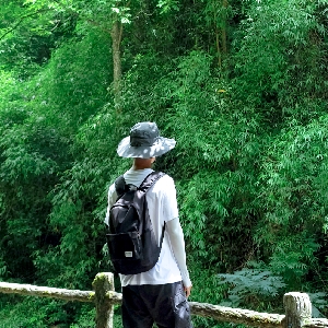 再鸽一期 