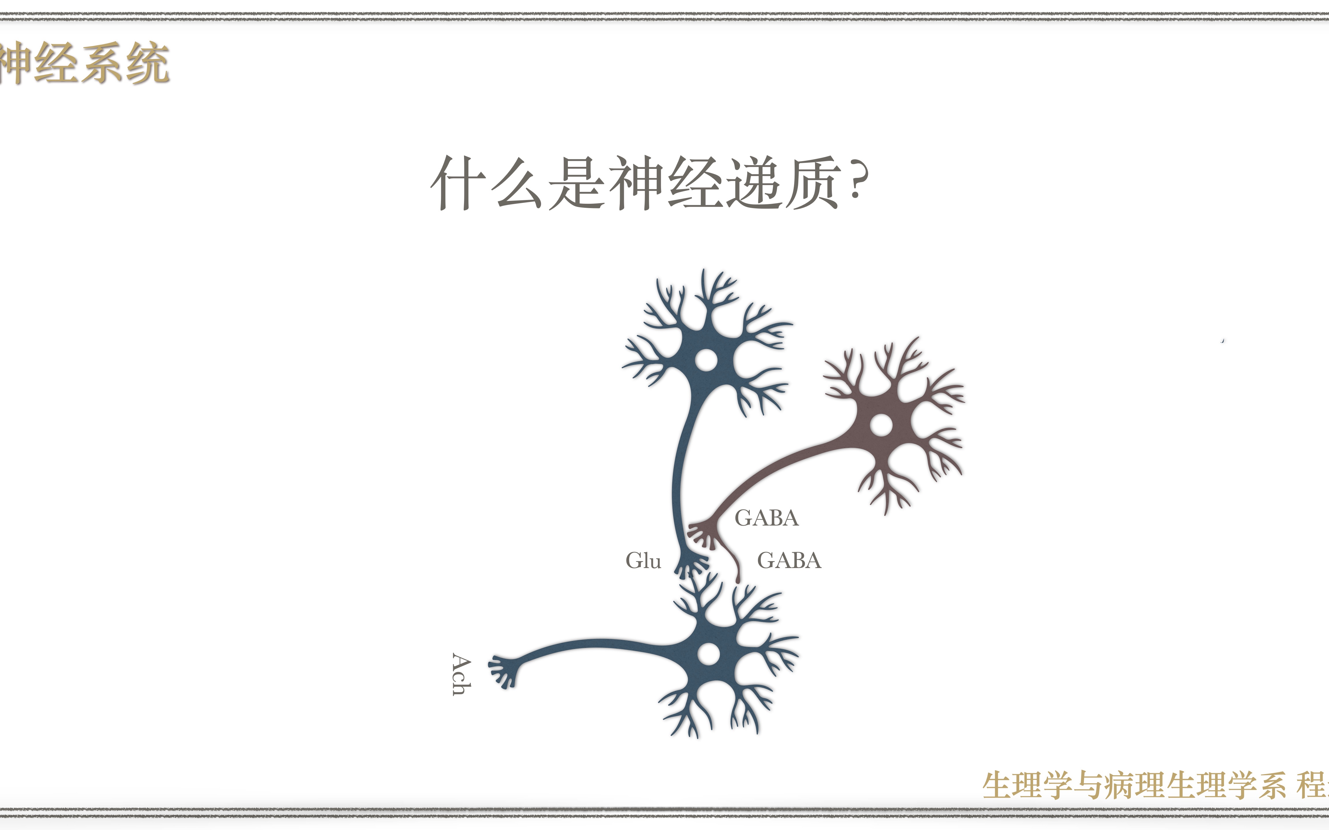 神经系统-5-神经递质和受体的配合