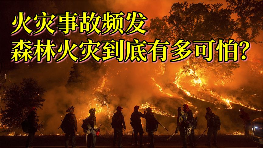 天干物燥,小心“火烛”:火灾事故频发,森林火灾到底有多可怕?