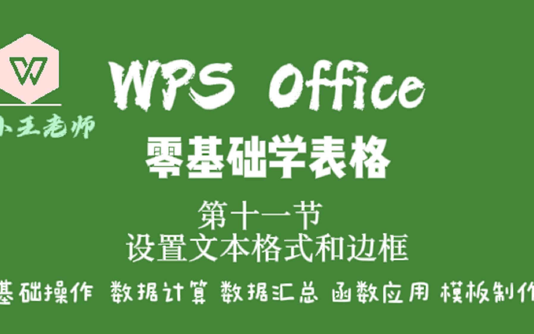 WPS零基础学表格:设置文本格式和边框