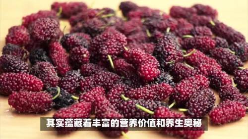 桑葚的神奇养生功效,你知道几个?