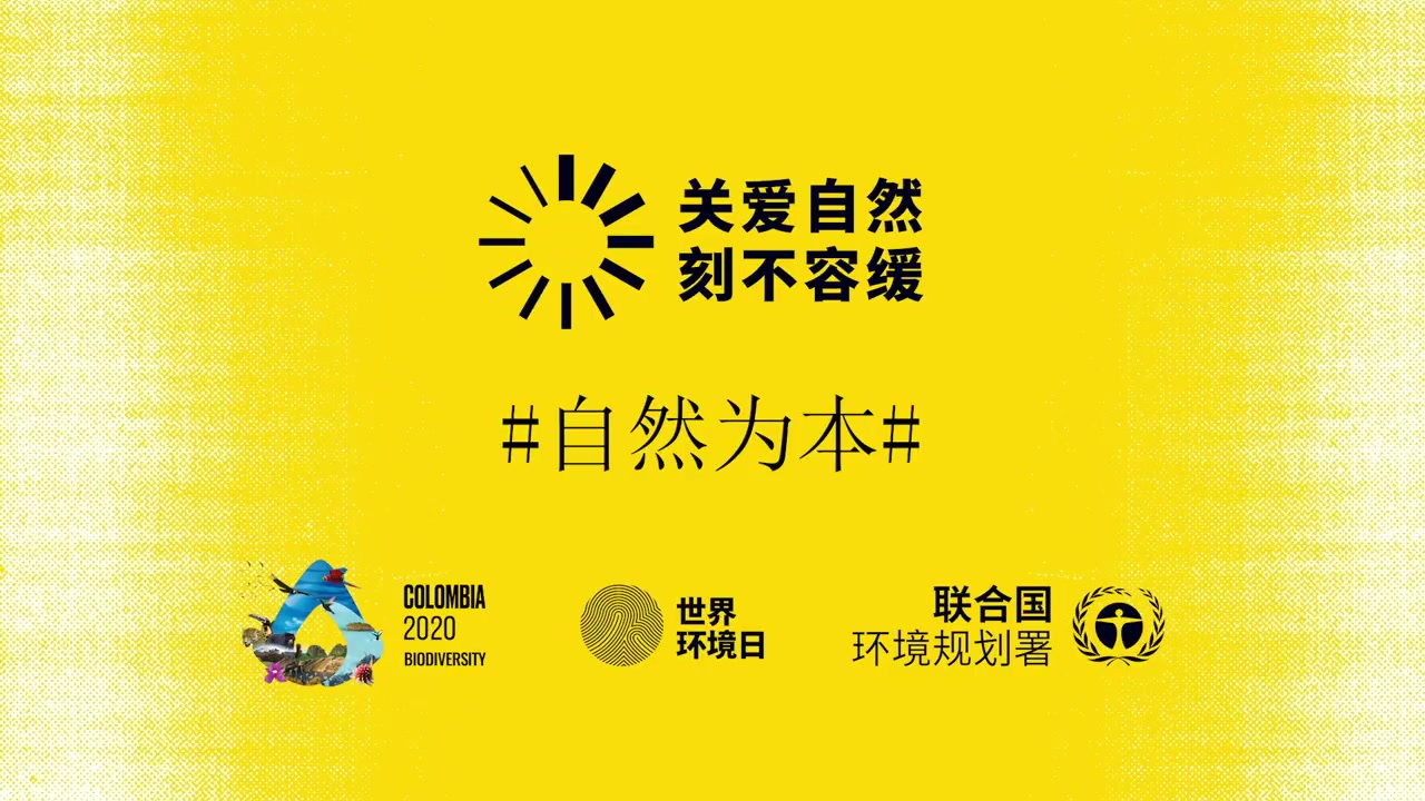 2020世界环境日主题宣传片