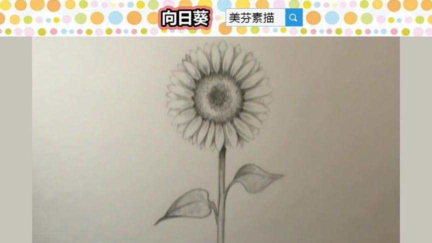 如何用素描的技法画一朵漂亮的向日葵?植物花草素描画法教程!