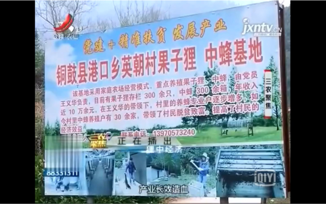 【三农聚焦/果子狸】养殖脱贫/ 谈及野生动物保护,我们还可以想到什么?