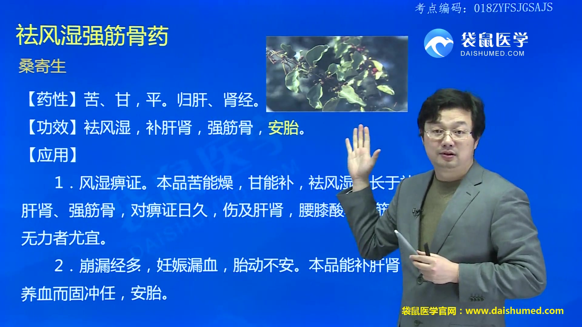 每天认识一味药——桑寄生