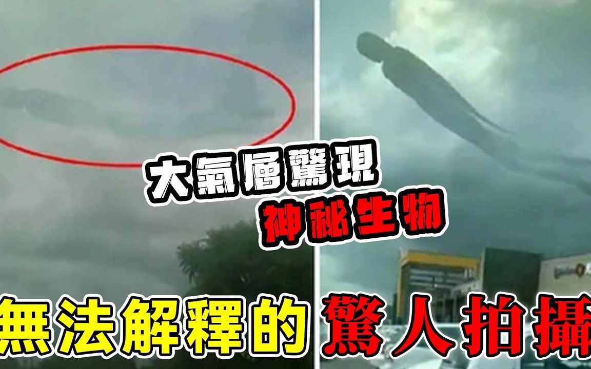 美国超市上空惊现不明大气生物!神秘目击视频曝光,让你难以置信!