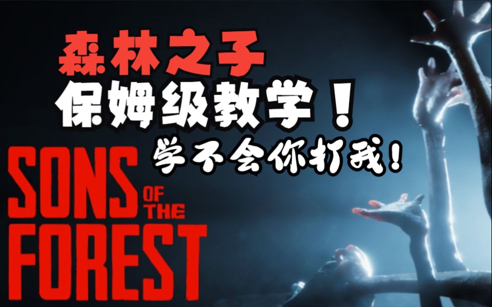 森林之子全物品收集路线保姆级教程!