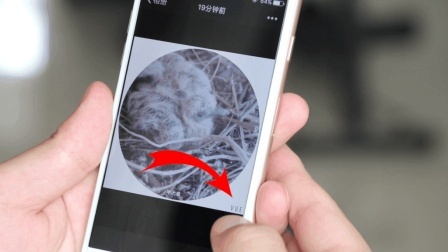 教你在朋友圈发圆形视频,还能用微信去掉水印