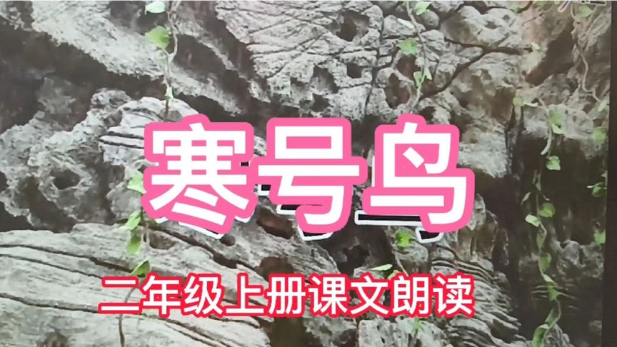 二年级上册课文朗读《寒号鸟》