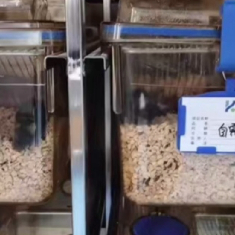 动物实验大小鼠实验等
