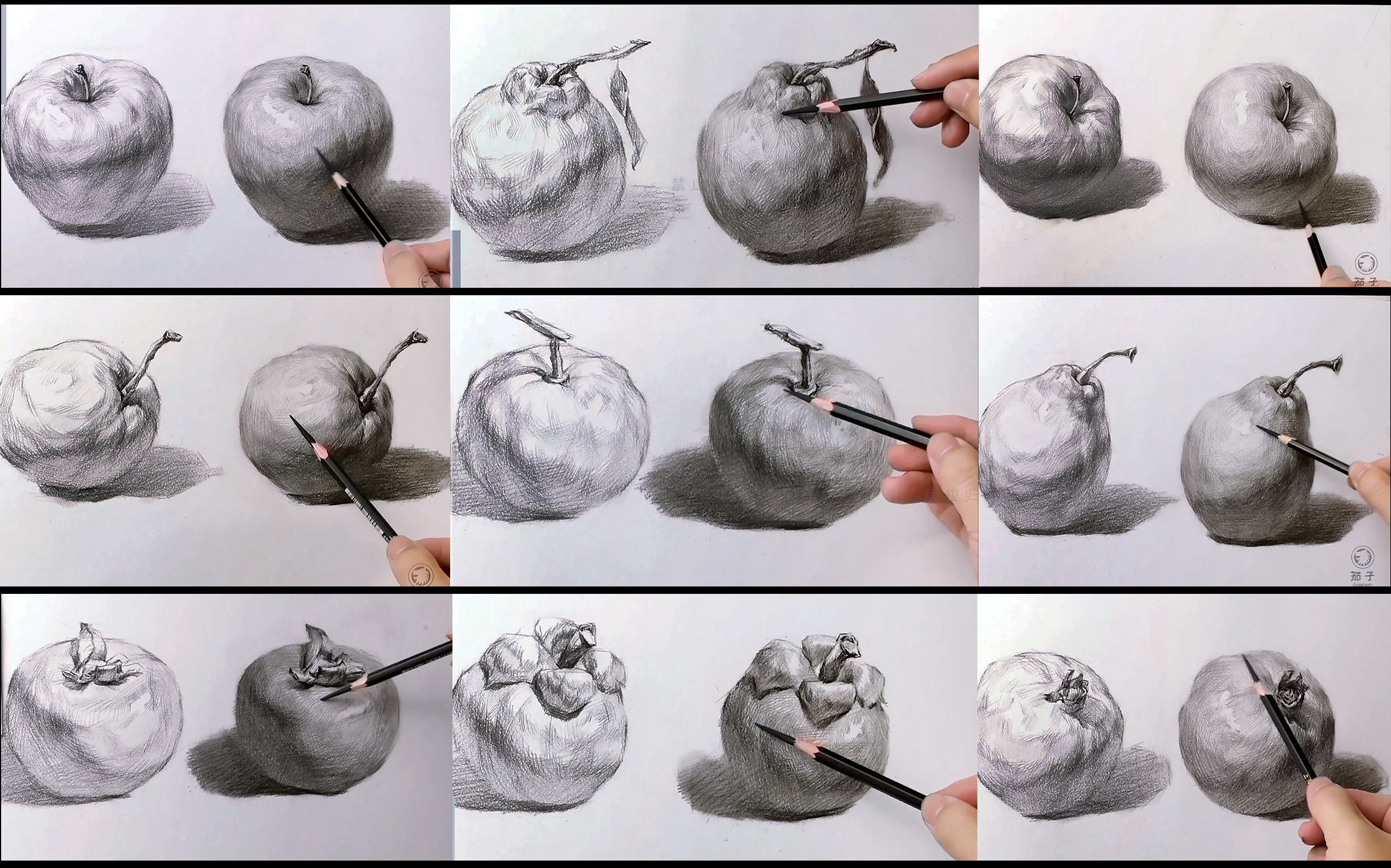 茄子素描-水果静物系列教程大合集-苹果、梨、桔子、橘子、石榴、...