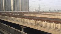 G175次列车【北京南-青岛】出济南西站。