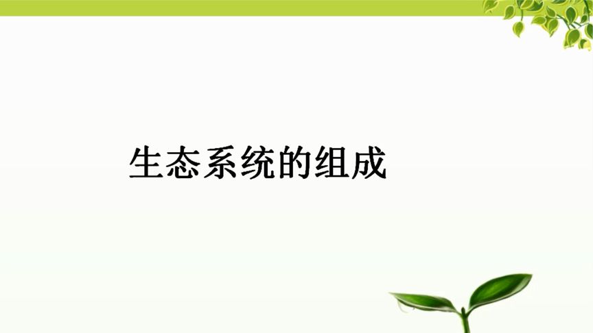 第7期:生态系统的组成