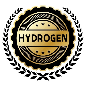 Hydrogen船新 