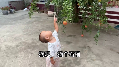 1周5个月宝宝计划戒母乳,让婆婆放弃工作带孩子,婆媳有事好商量