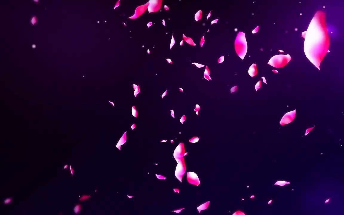 花瓣飘落唯美背景素材