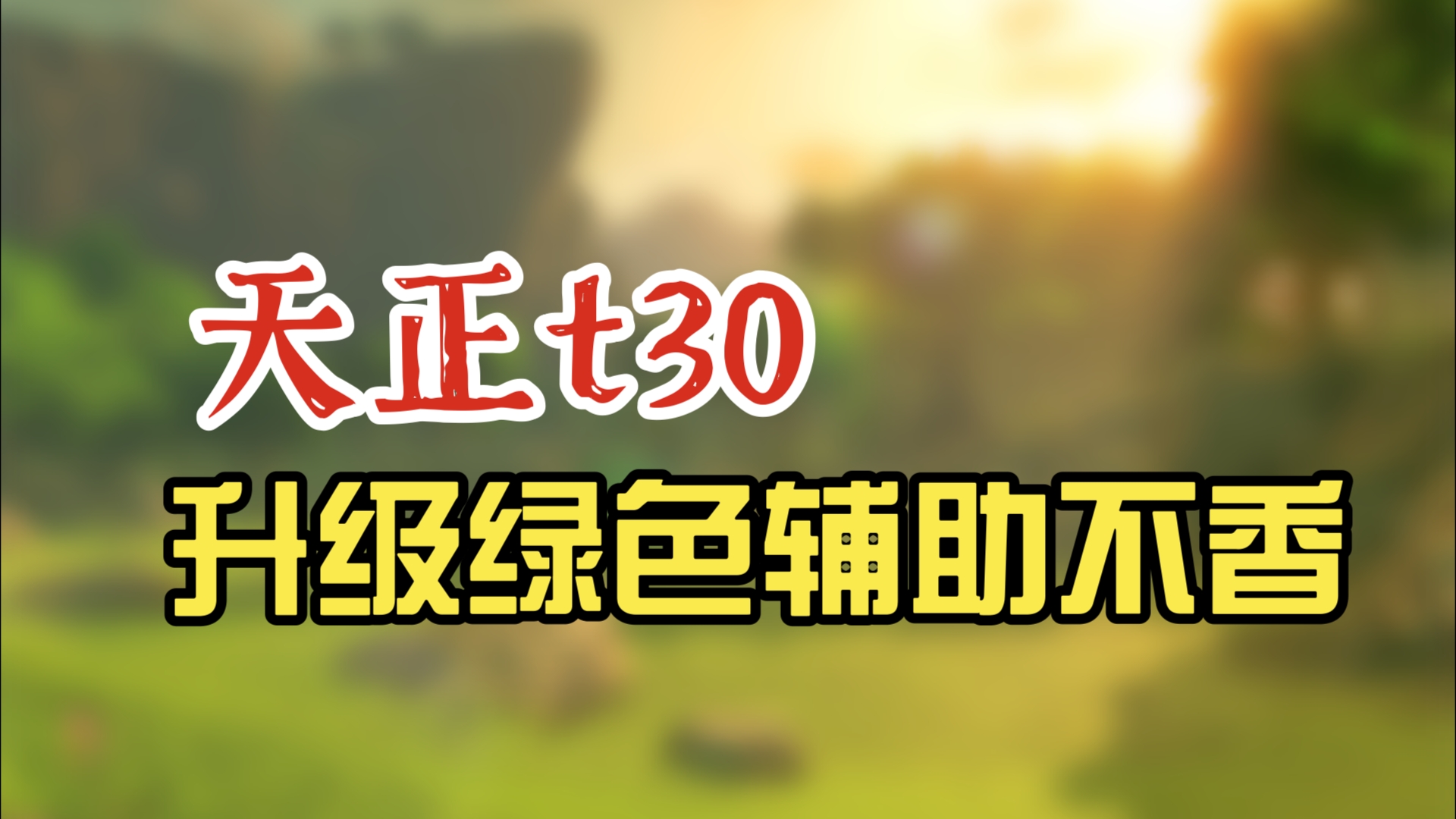 天正t30全套绿色辅助,安全无限使用不香吗?