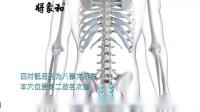 足太阳膀胱经、次髎穴《治疗腰痛、月经不调、赤白带下、遗精、大...
