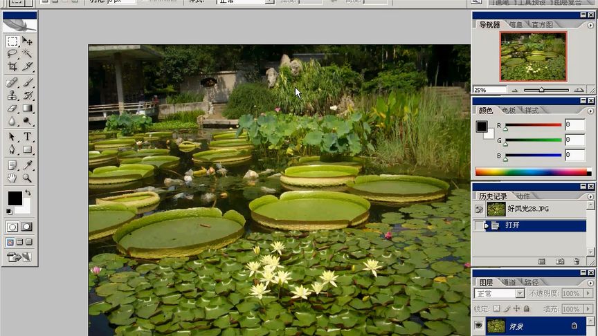 Photoshop第八讲:10、Photoshop帮助菜单的介绍