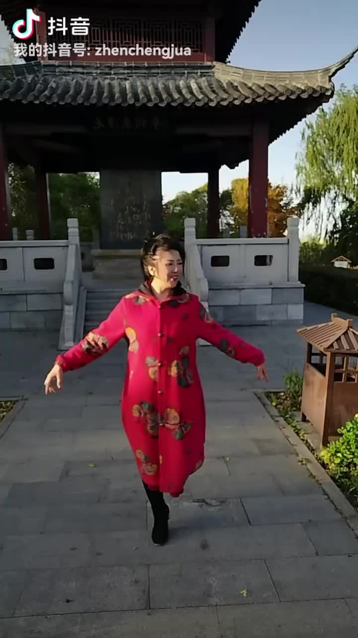 #上热门ߔ� #@娟儿 手势舞2025年10月20日#纪念一代伟人 #太阳最...