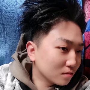 探真侠 