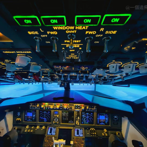 一個追飛機的ren 