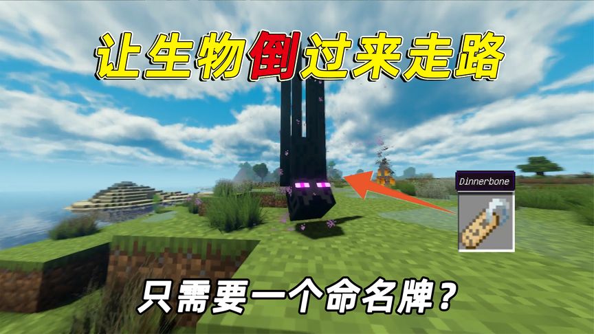 我的世界:老玩家都不会的技巧,让生物倒着走,只需一个命名牌?
