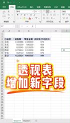 EXCEL透视表增加新字段,公式增加字段
