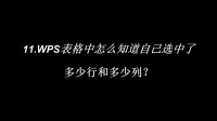 11.WPS表格操作技巧:WPS表格中怎么知道自己选中了多少行和列?