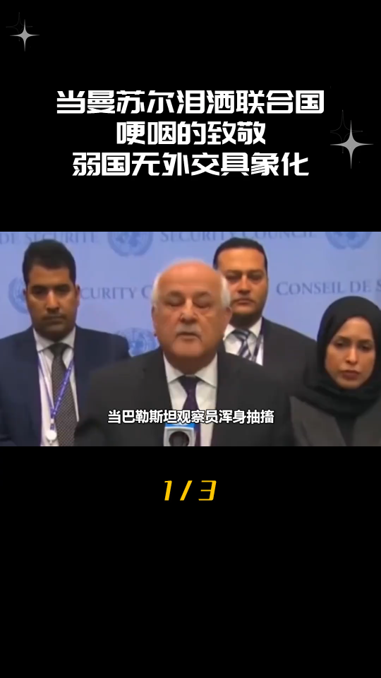 当巴勒斯坦观察员泪洒联合国,哽咽的致敬时,弱国无外交具象化