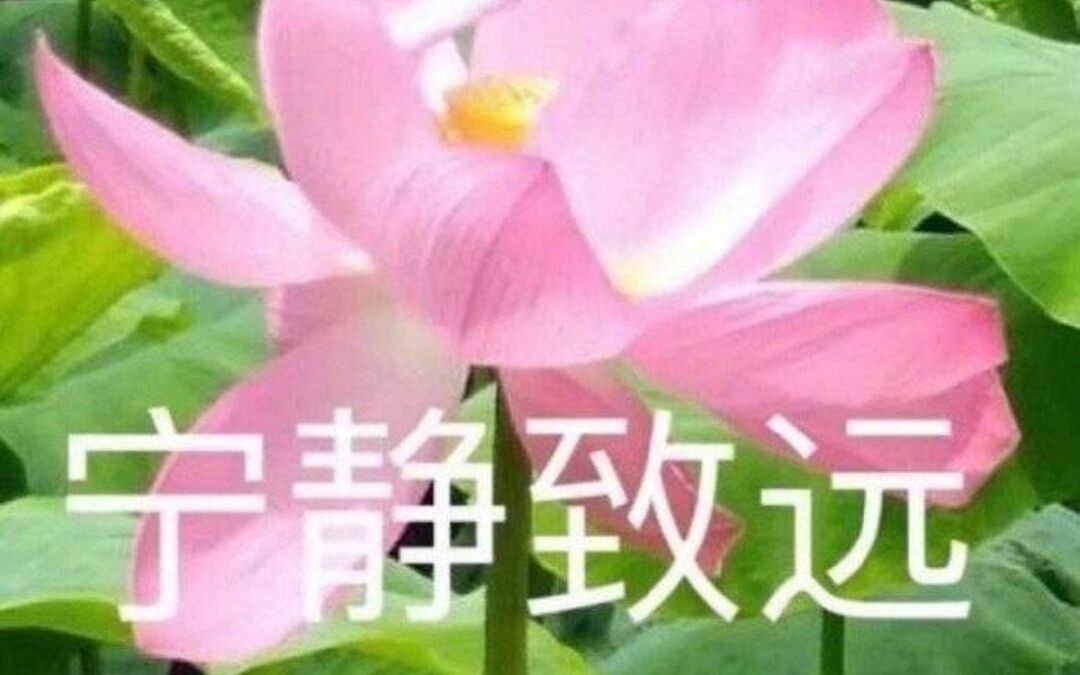 BJT仿真
