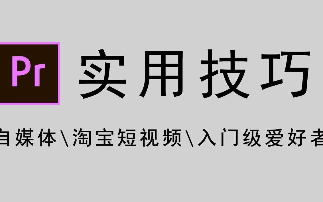 PR2018教程2小时入门到精通