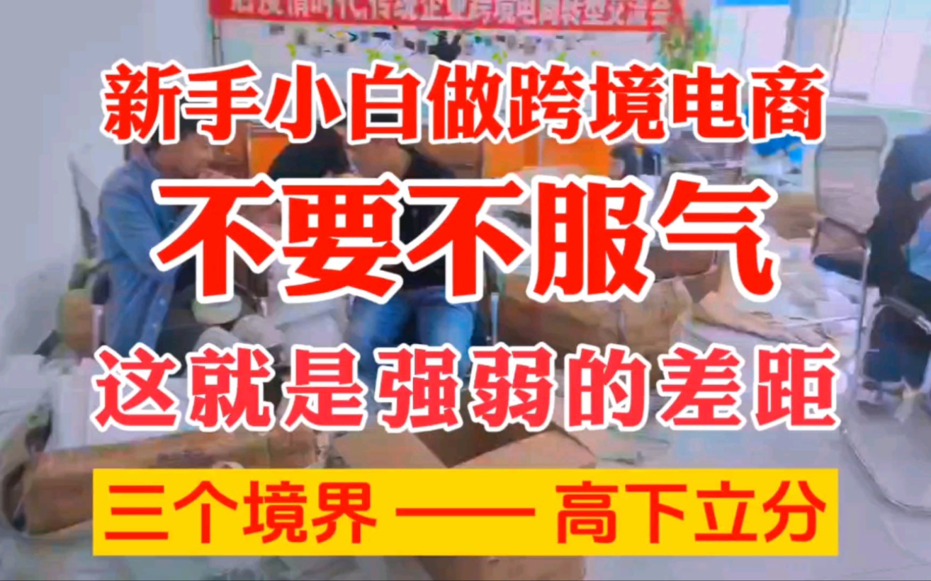 2024年新手小白做跨境电商的三个境界。河北外贸主体培育倍增工程,...