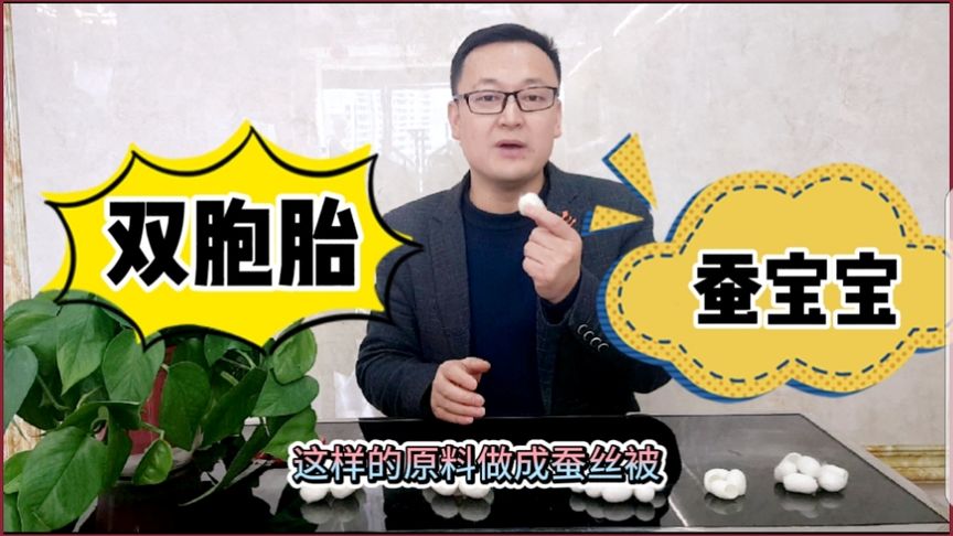 双胞胎蚕宝宝吐丝做的蚕丝被,期待幸福的结晶,羡慕高大上的温馨