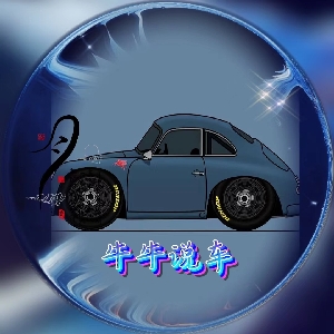 牛牛拍车 