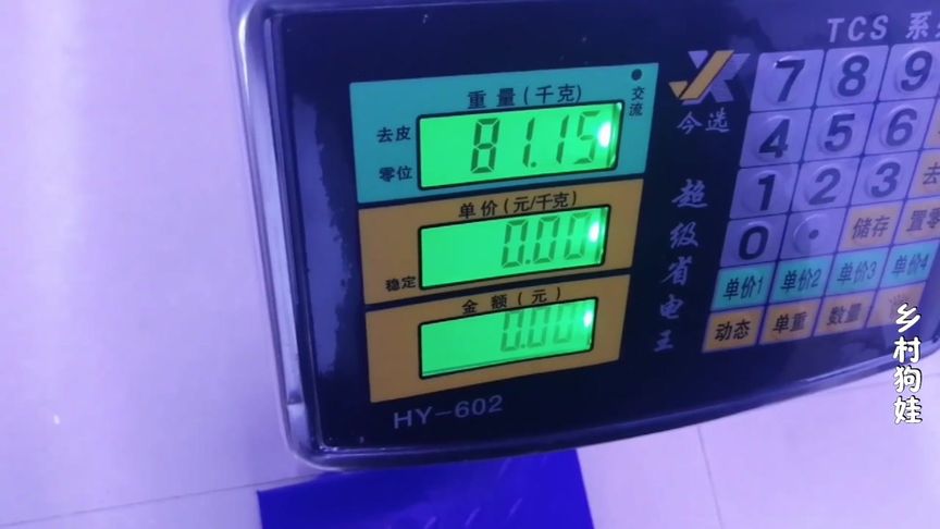 农村小伙138元买了电子秤,标准体重都称不出来?亏大啦!