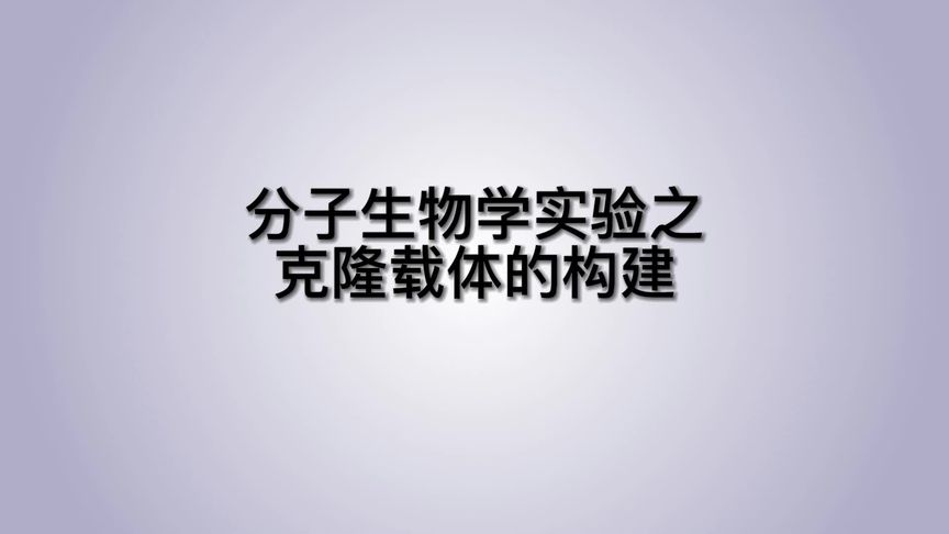 分子生物实验之克隆载体的构建#医学 #科研 #实验