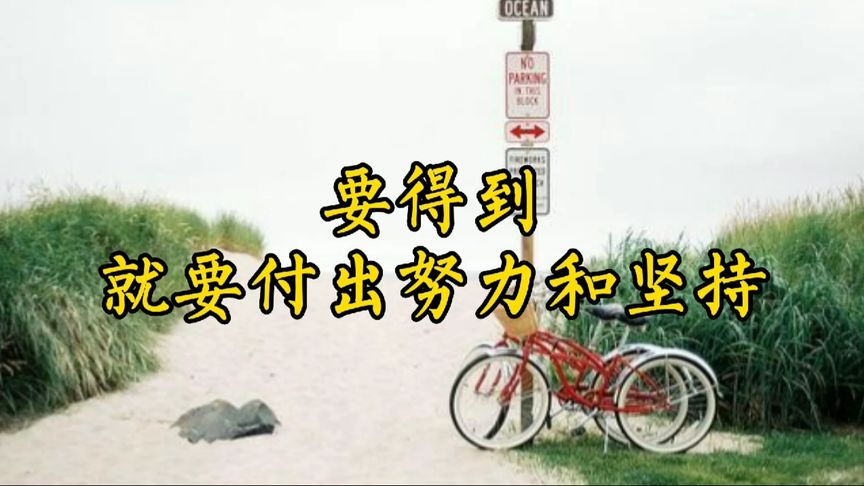 【励志语录】好句分享|付出的努力和坚持,决定你生活的样子