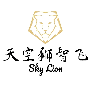 天空狮智飞 