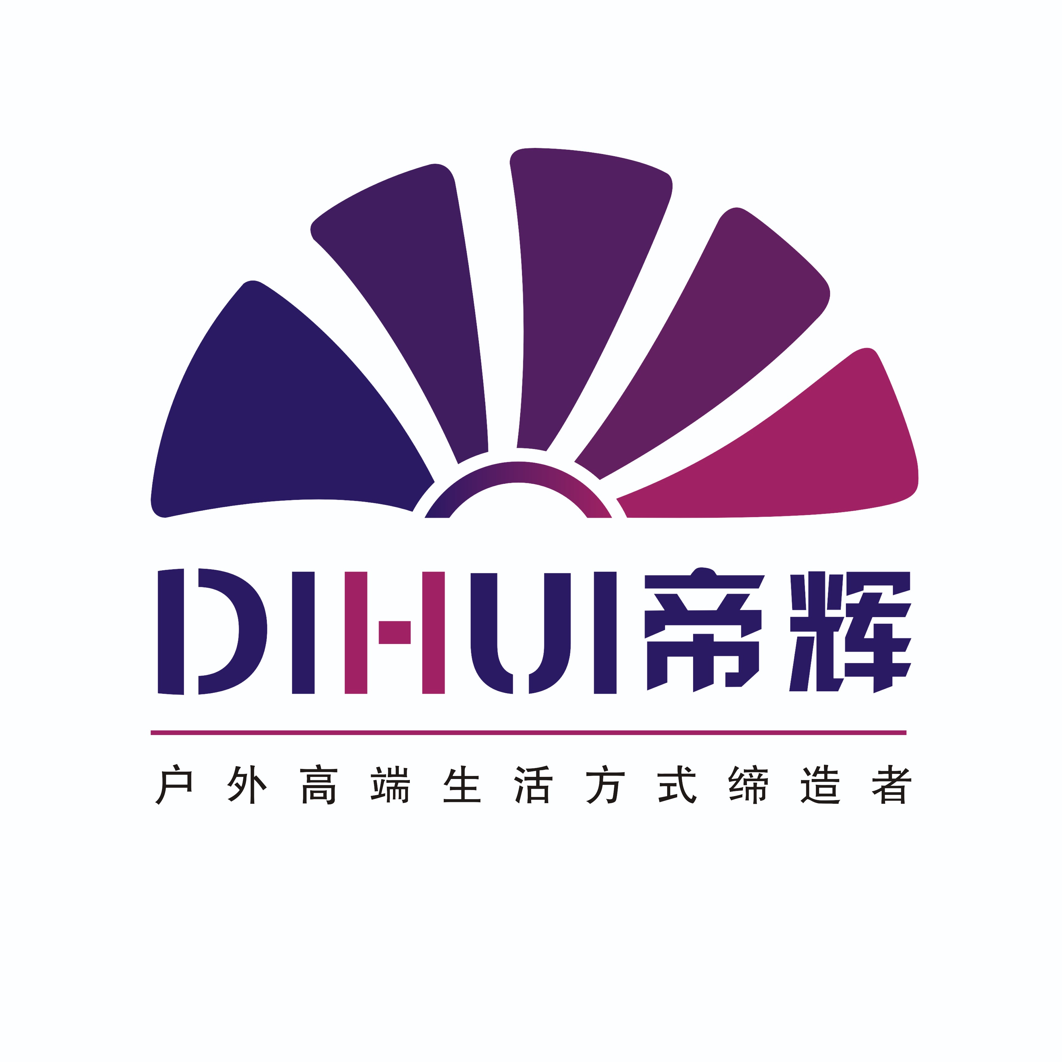 帝辉科技 